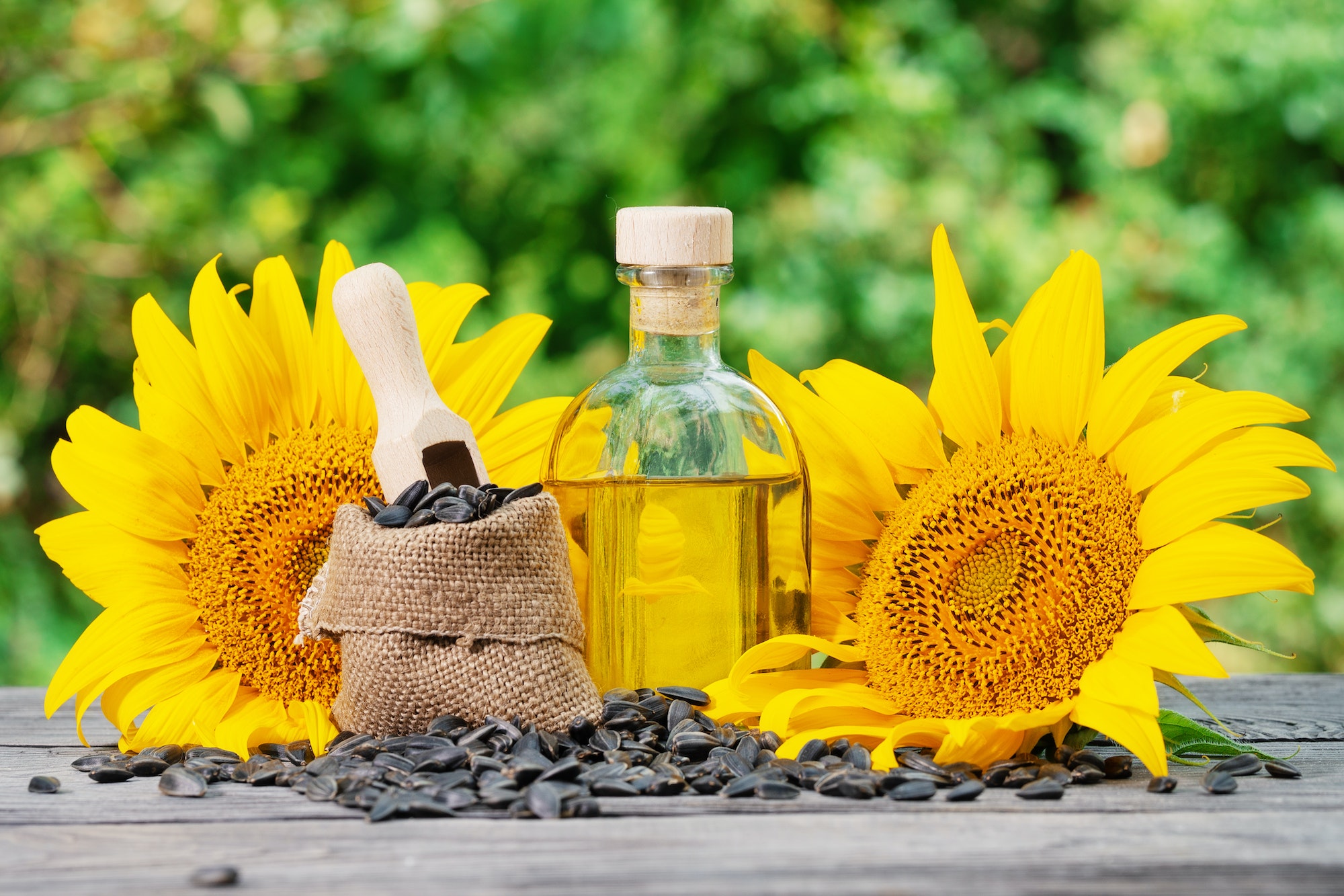 MAXFIELD UAE - SUNFLOWER OIL